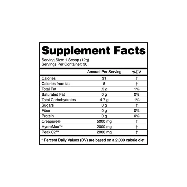 NUTRAONE PERFOMANCE ONE 30 SERVINGS PRE WORKOUT – Whey Protein ...