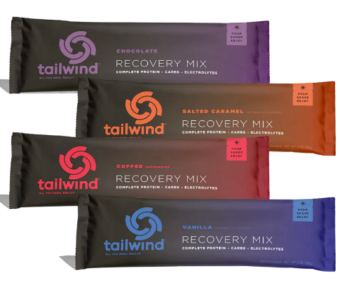 TAILWIND REBUILD RECOVERY 1 SERVING – Whey Protein Supplements, & Gym ...