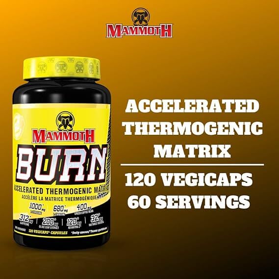 MAMMOTH BURN 120 CAPSULES – Whey Protein Supplements, & Gym Equipments
