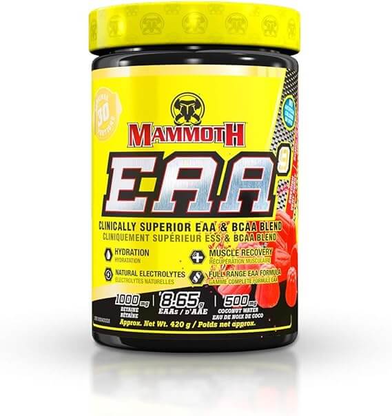 MAMMOTH EAA9 30 SERVINGS – Whey Protein Supplements, & Gym Equipments