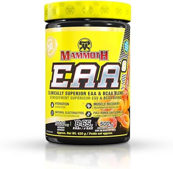 MAMMOTH EAA9 30 SERVINGS – Whey Protein Supplements, & Gym Equipments