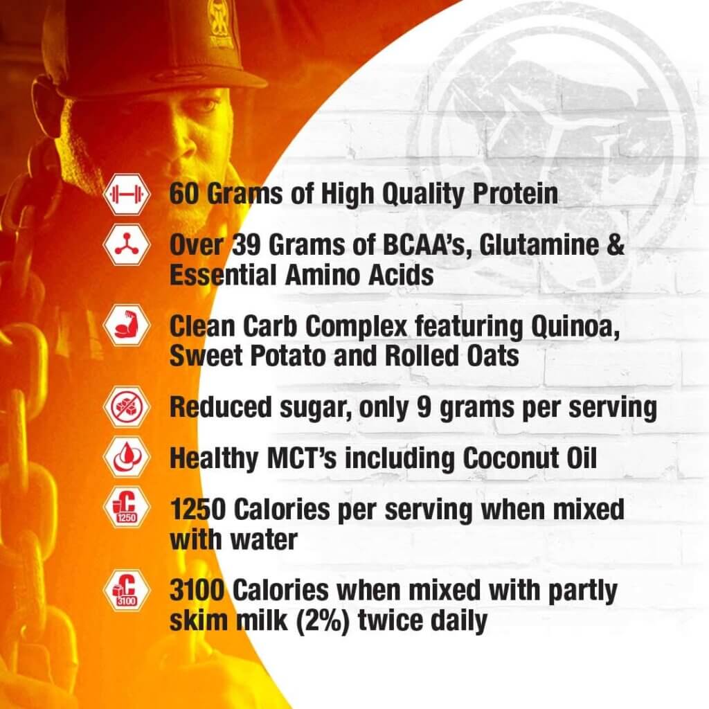 MAMMOTH MAMMOTH MASS 15 LBS – Whey Protein Supplements, & Gym Equipments