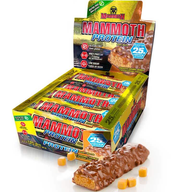 MAMMOTH PROTEIN BAR 1 SERVING – Whey Protein Supplements, & Gym Equipments