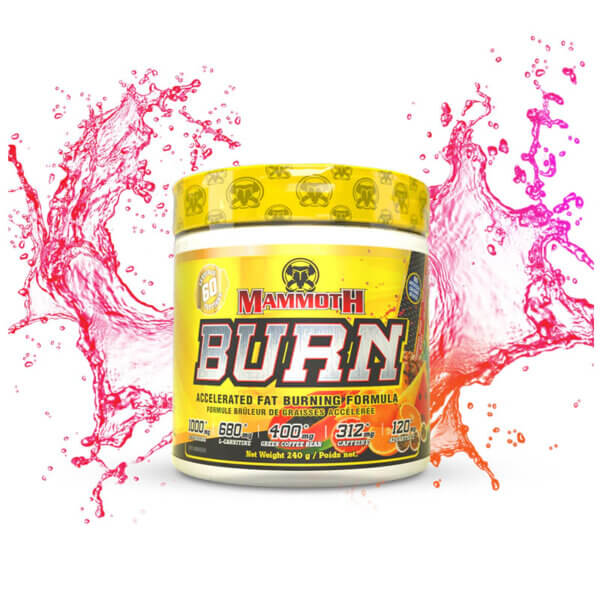 MAMMOTH BURN 60 SERVINGS TROPICAL FRUIT BLAST FLAVOR – Whey Protein ...