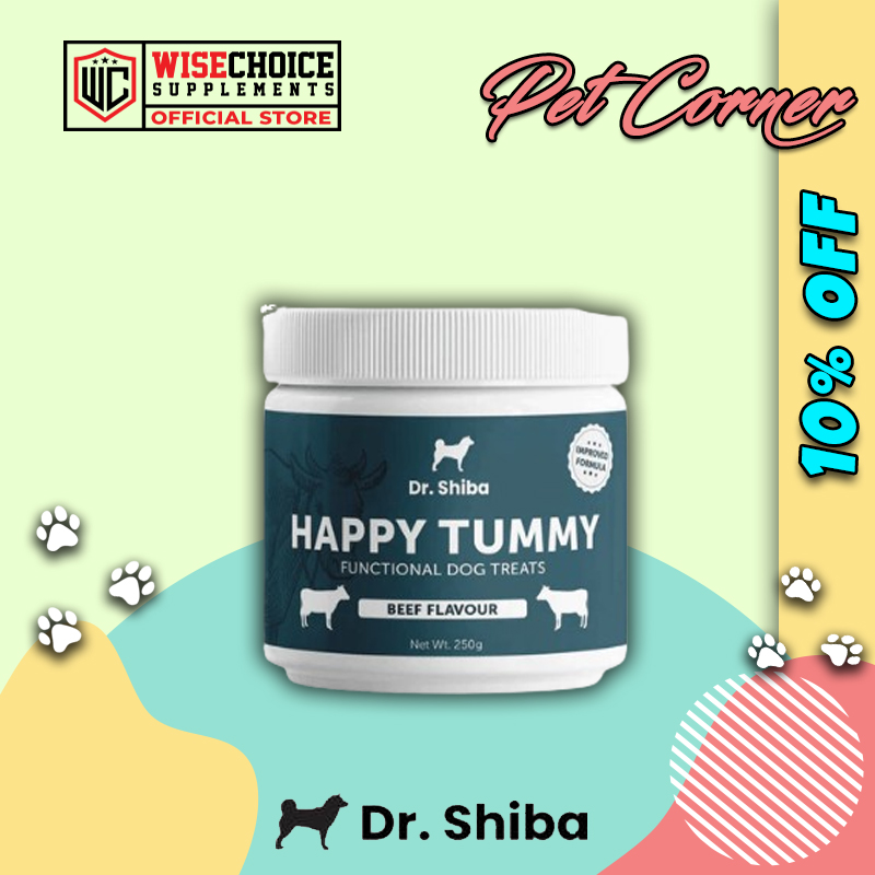 DR.Shiba Happy Tummy 250 Grams Beef Flavour – Whey Protein Supplements ...