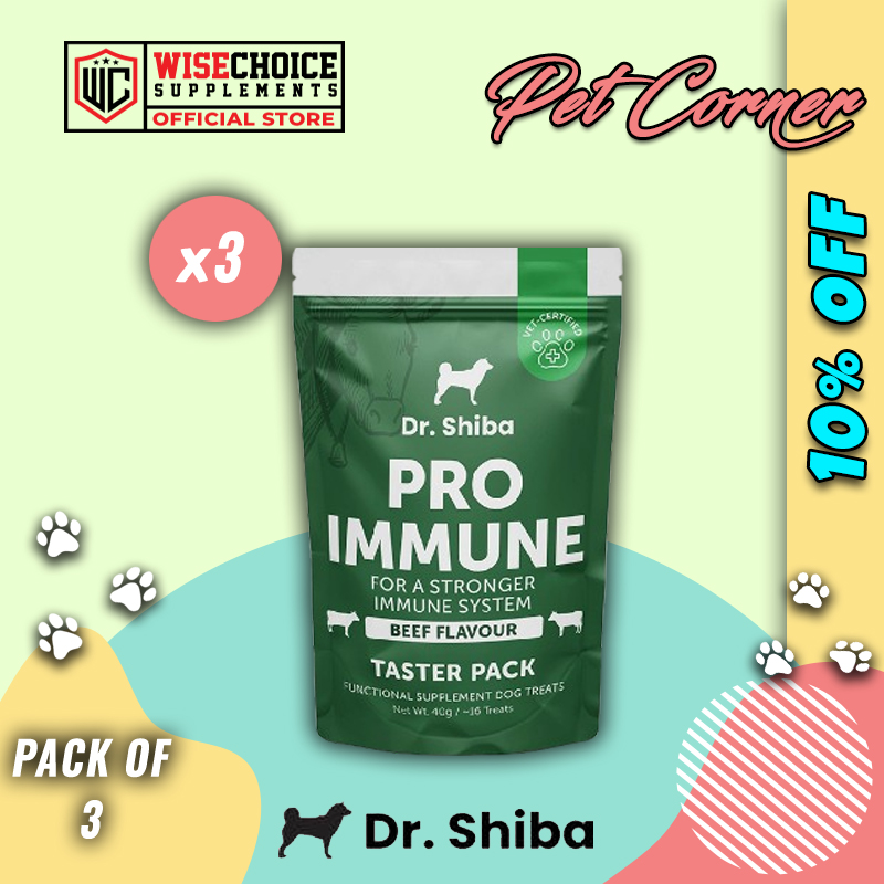 DR.Shiba Pro Immune 40 Grams Beef Flavour ( Pack of 3 ) – Whey Protein ...